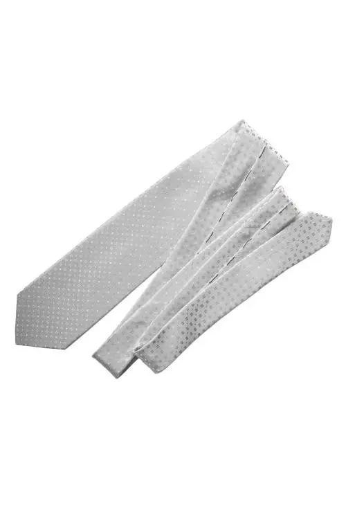 ELIZABETTA Barbera Extra Long Silk Jacquard Neck Tie - Silver