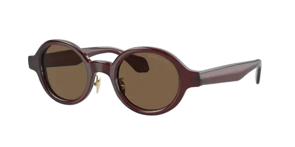 Giorgio Armani Sunglasses - Dark Brown