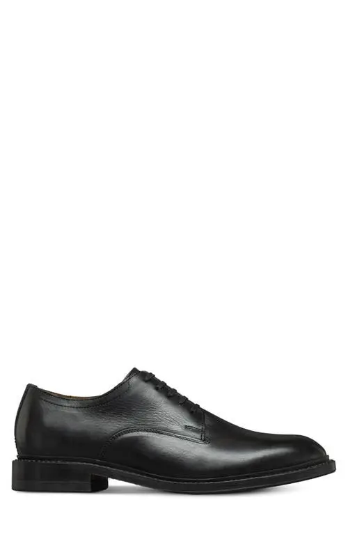 Allen Edmonds Trevor Derby - Black