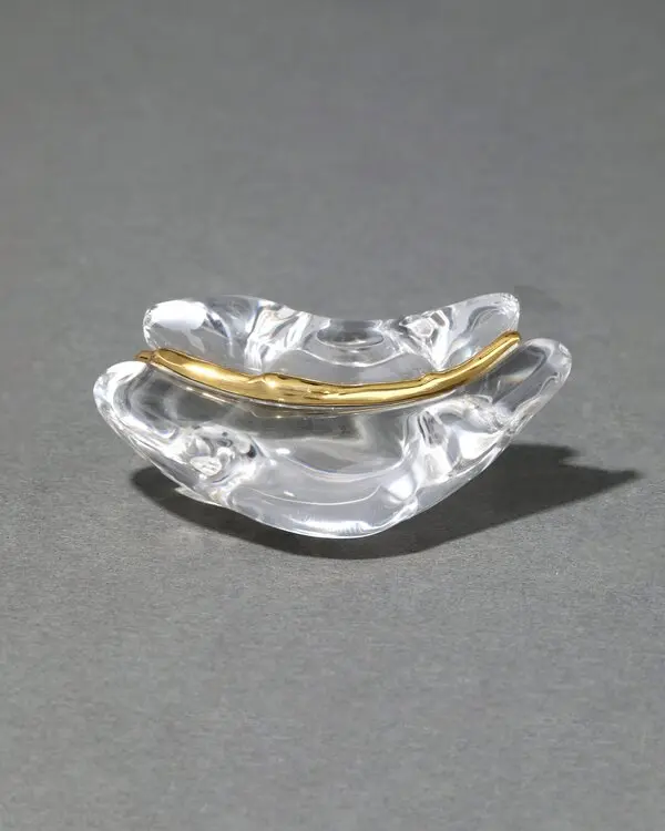 Alexis Bittar Liquid Lucite Wave Ring