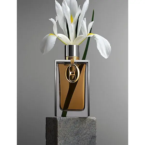 Rabanne Silver Skin Eau De Parfum