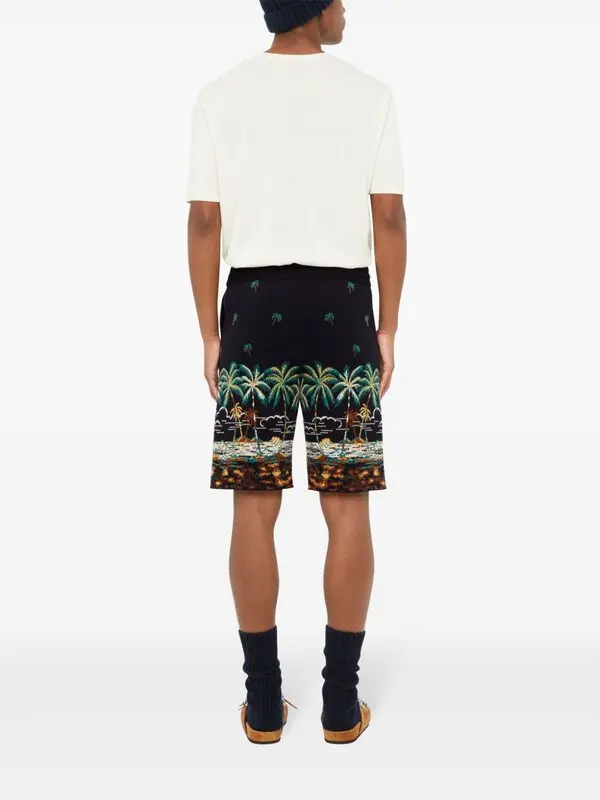 Alanui Hawaiian Shorts - Blue