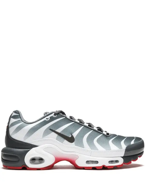 Nike Max Plus Sneakers