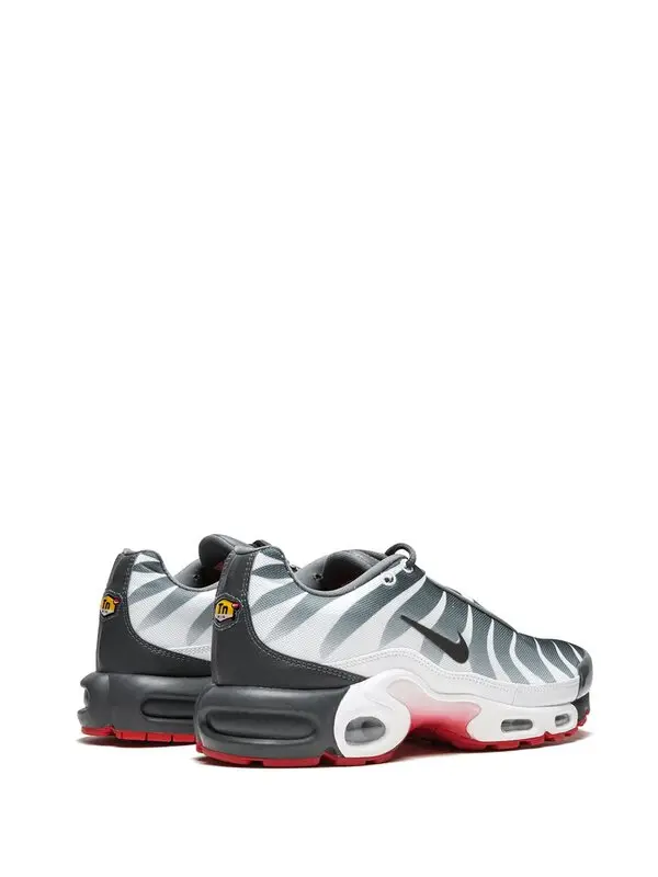 Nike Max Plus Sneakers