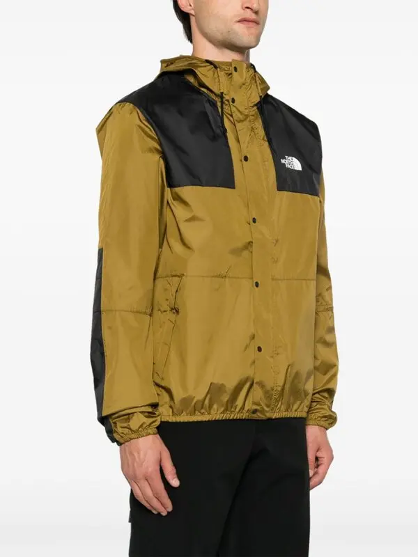 The North Face Seasonal Mountain Jacket In Green - 27% Off