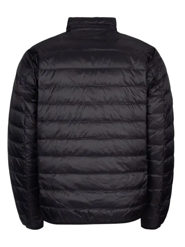 EA7 Padded Jacket