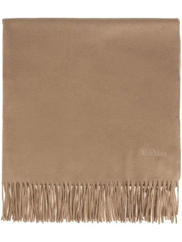 Max Mara Embroidered-logo Cashmere Scarf - Brown