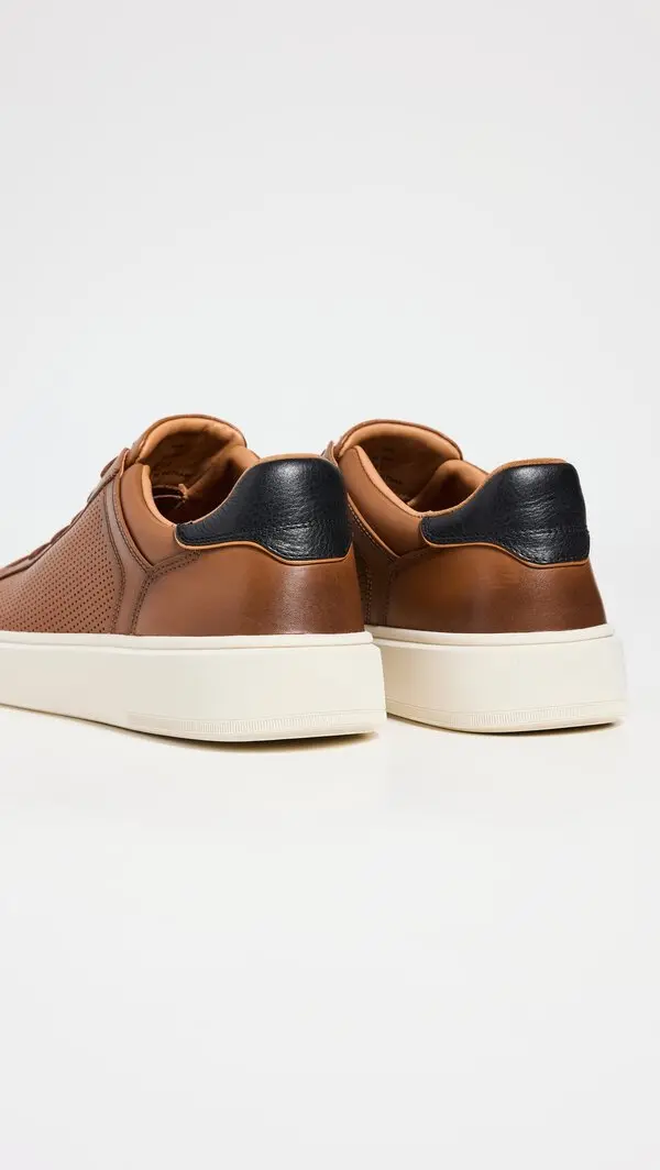 Allen Edmonds Oliver Leather Sneakers - Luggage 230