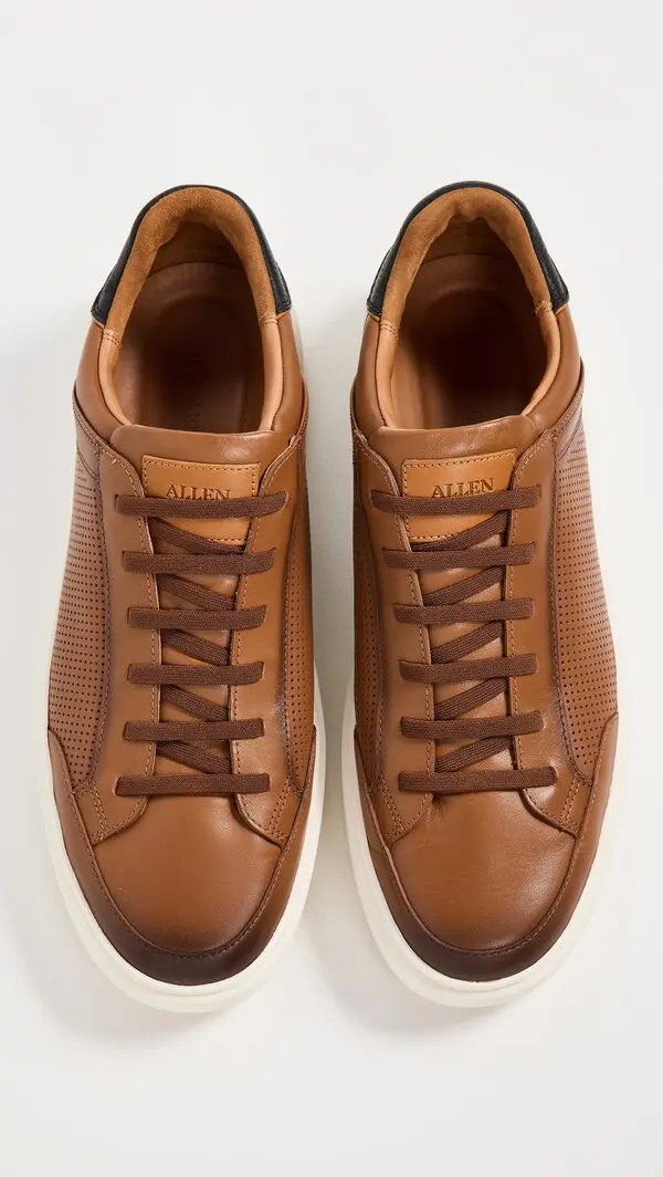 Allen Edmonds Oliver Leather Sneakers - Luggage 230