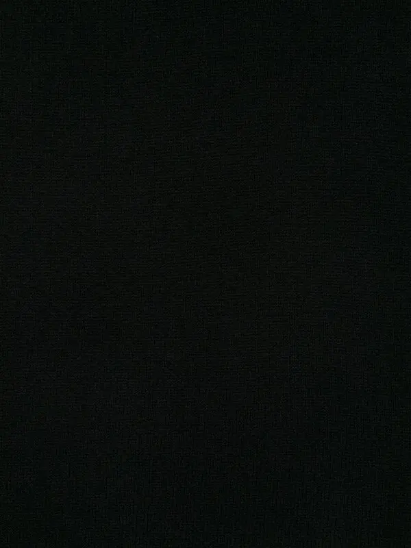 ALLUDE Cashmere Scarf