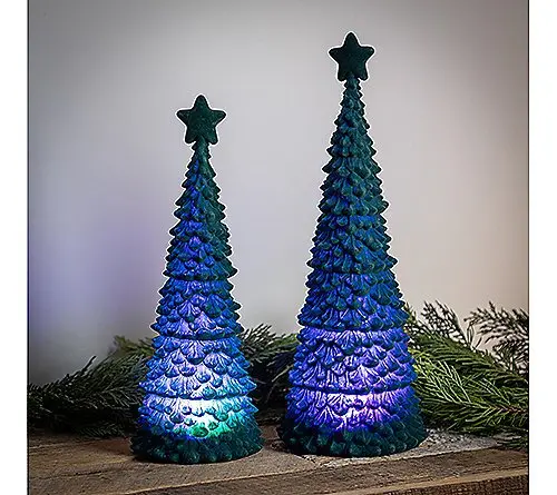 EVERGREEN Set Of 2 Lighted Flocked Tree With St Ar Table Decor - One-color