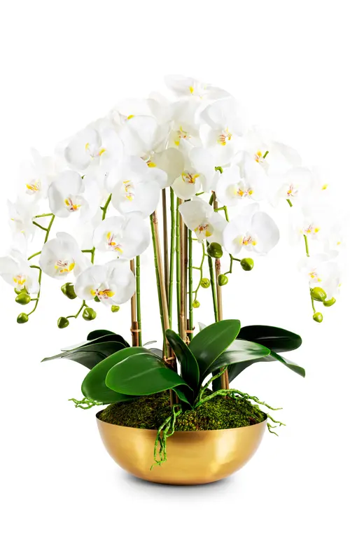 COCOBELLA Abigail Realtouch White Orchid In Gold Bowl - Gold, White, Green