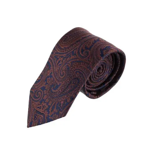 Trafalgar Paisley Silk Necktie - Brown