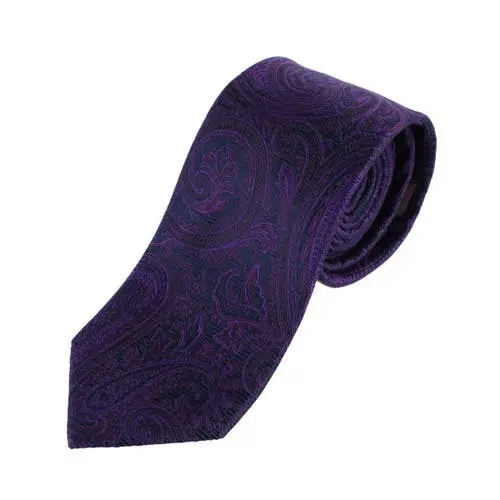 Trafalgar Paisley Silk Necktie - Purple