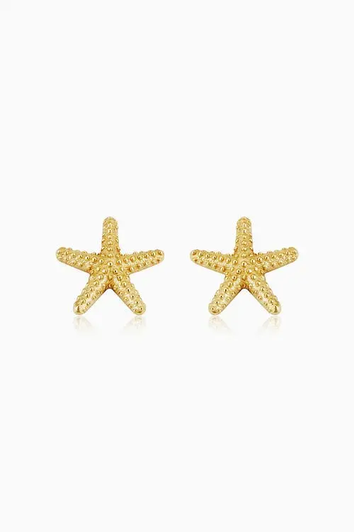ORADINA 14k Starfish Stud Earrings - Yellow Gold