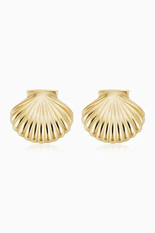 ORADINA 14k Seashell Stud Earrings - Yellow Gold