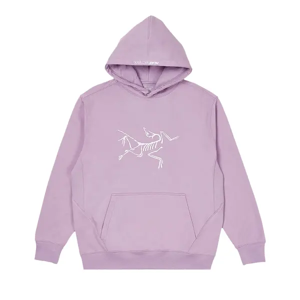 PALACE X Arc'teryx Hood