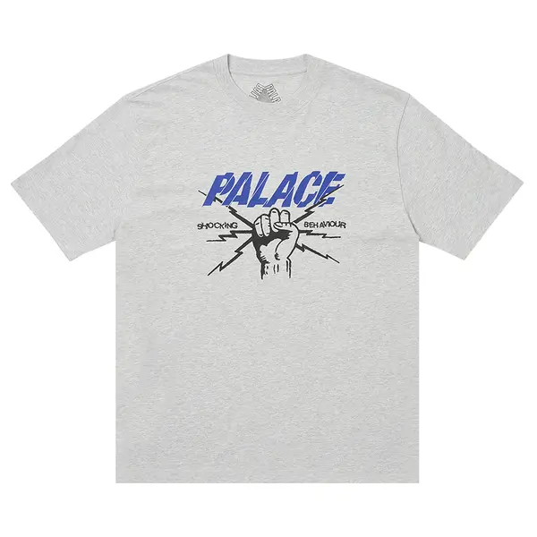 PALACE Shocking Behaviour T-shirt - Grey