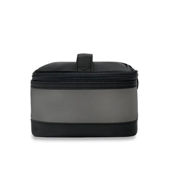 Briggs & Riley Translucent Essentials Case