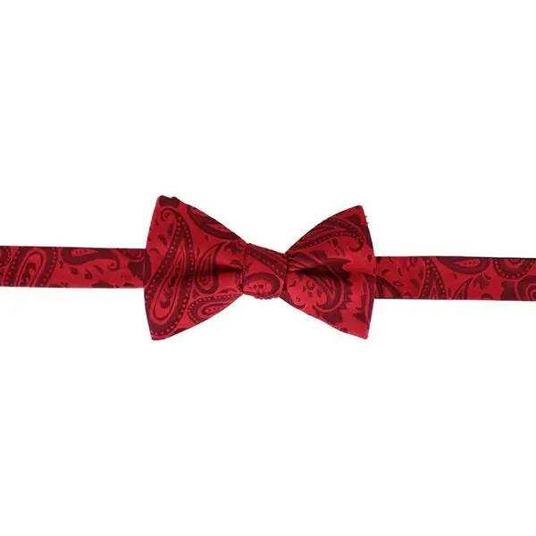 Trafalgar Banbury Tone On Tone Paisley Silk Bow Tie - Red
