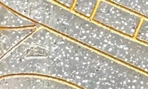 SOLAR ECLIPSE Eiffel Tower Claw Clip