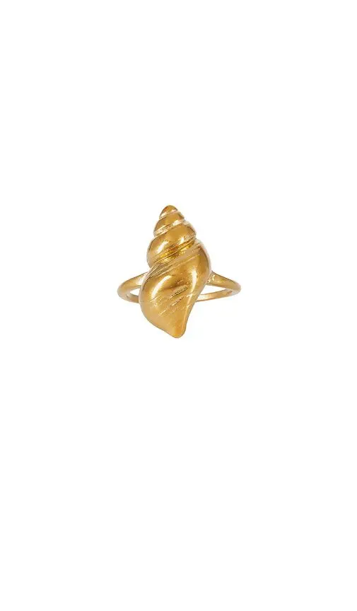 CASA CLARA Conch Shell Ring - Gold