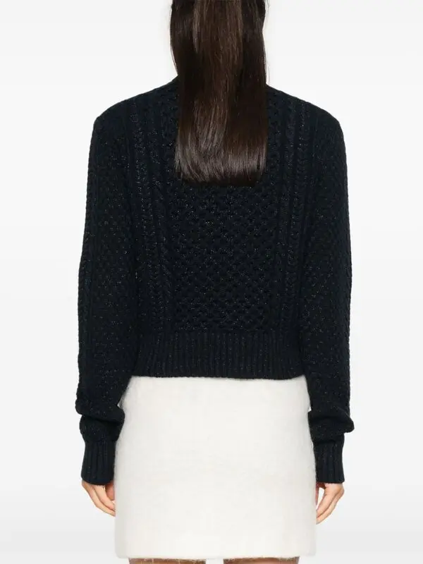 Fabiana Filippi Platinum Sweater