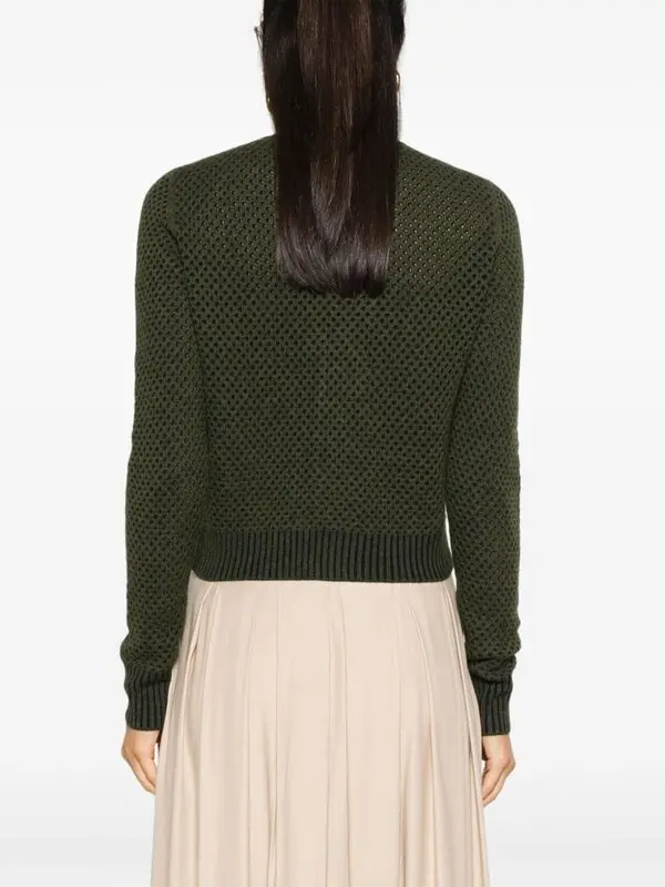 Fabiana Filippi Platinum Cardigan