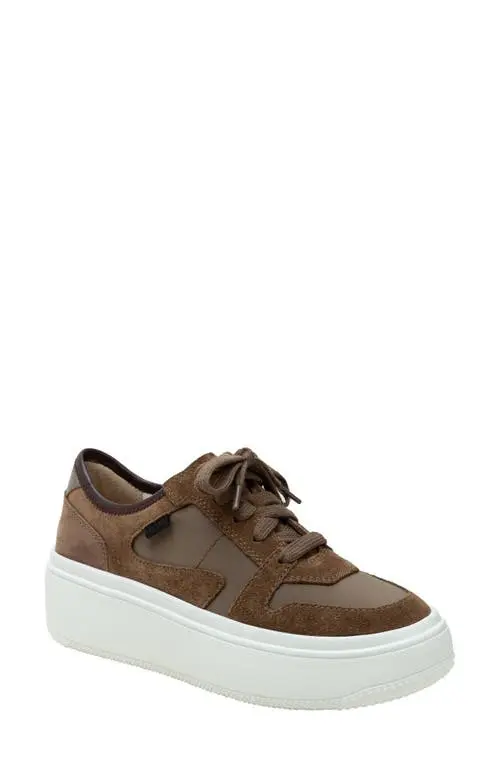 Linea Paolo Gains Platform Sneakers - Dark Olive
