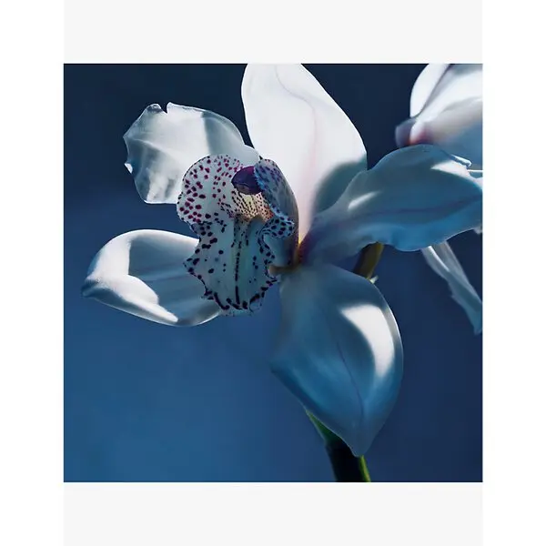 Chloé Atelier Des Fleurs Orchidée De Minuit Eau De Parfum - One-color