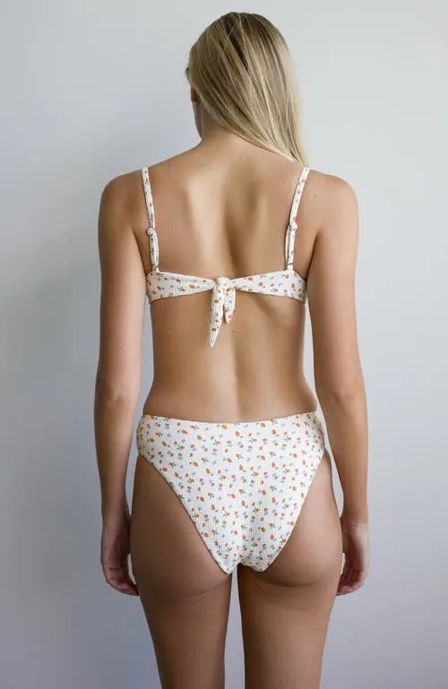 DIPPIN DAISY'S Taya Cheeky Bikini Bottom - Shortcake