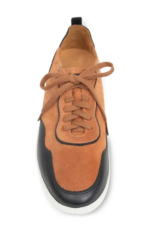 PATRICIA GREEN Travel Sneaker - Cognac/black