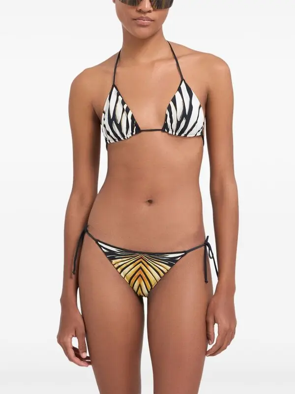 Roberto Cavalli Graphic Print Bikini Bottom