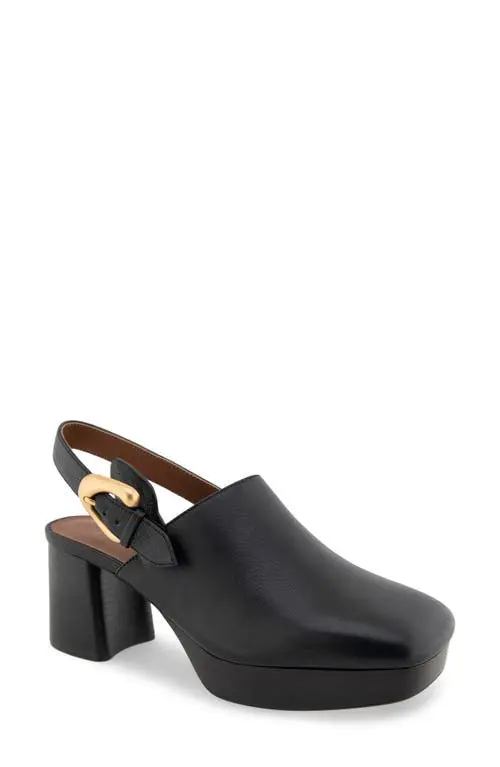 Aerosoles Sumari Leather Clogs - Black Leather