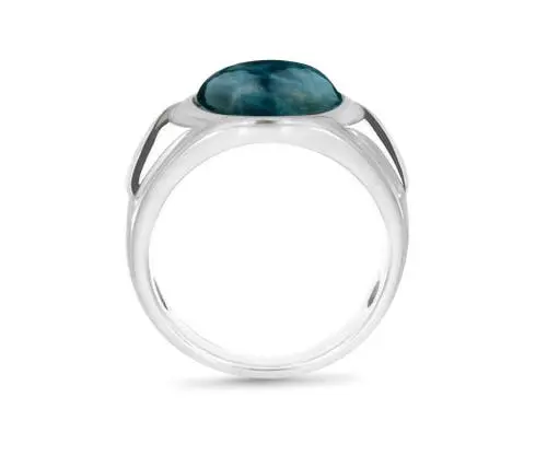 LUVMYJEWELRY Dark Apatite Sterling Silver Signet Ring