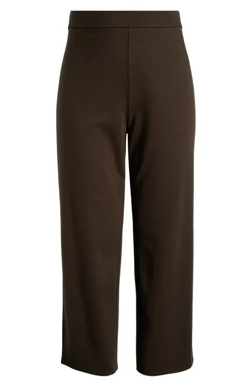 Eileen Fisher Stretch Ankle Straight Leg Pants