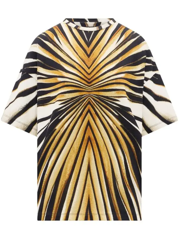 Roberto Cavalli Ray Of Print T-shirt - Gold