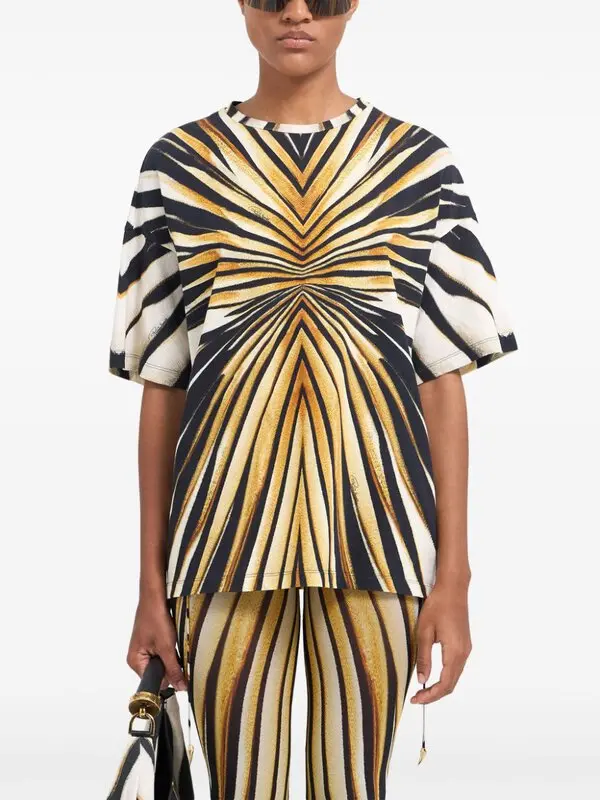 Roberto Cavalli Ray Of Print T-shirt - Gold