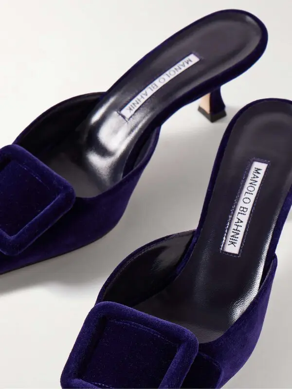 Manolo Blahnik Maysale 50 Buckled Velvet Mules - Purple