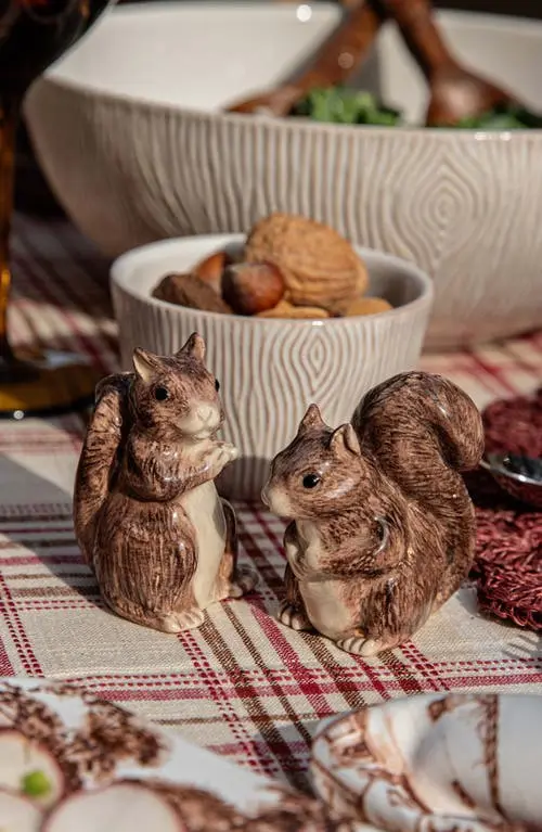 JULISKA Clever Creatures Squirrel Salt & Pepper Shaker Set