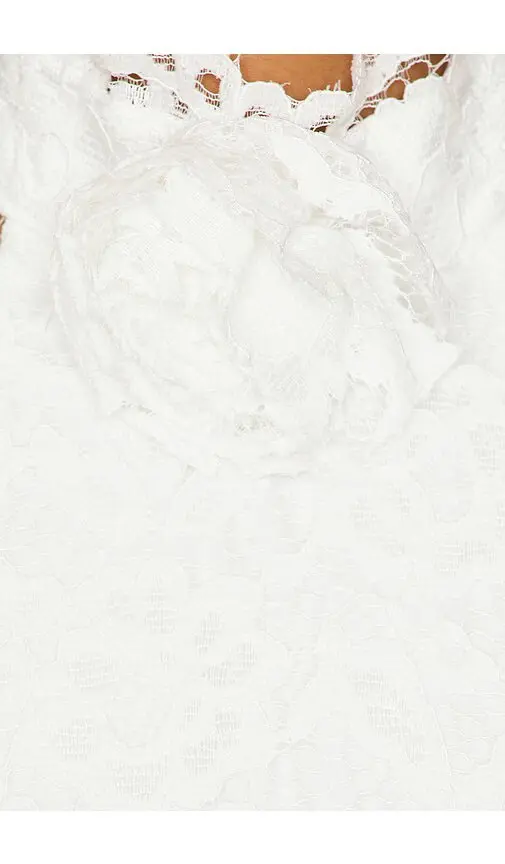Likely Tallie Dress
