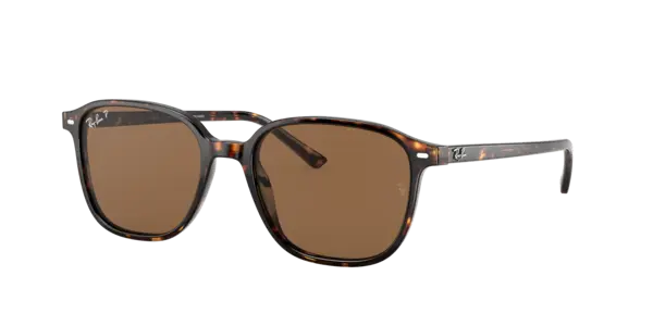Ray-ban Leonard Sunglasses - B-15 Brown