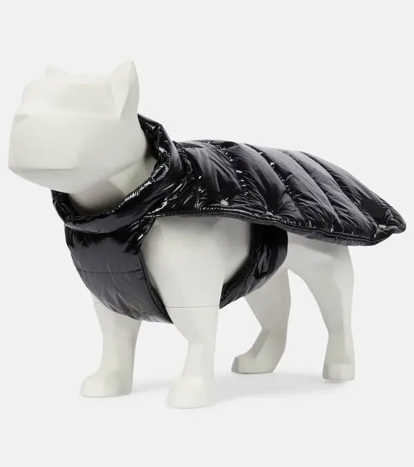 Moncler 6 1017 Alyx 9sm Dog Coat