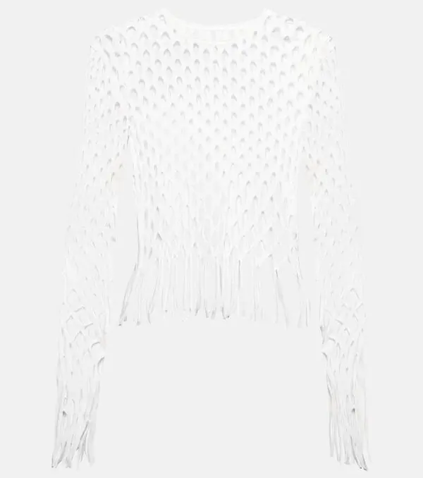 DION LEE Fringed Fishnet Top