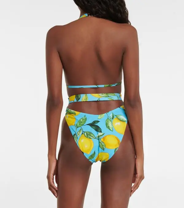 Dolce & Gabbana Printed Halterneck Swimsuit