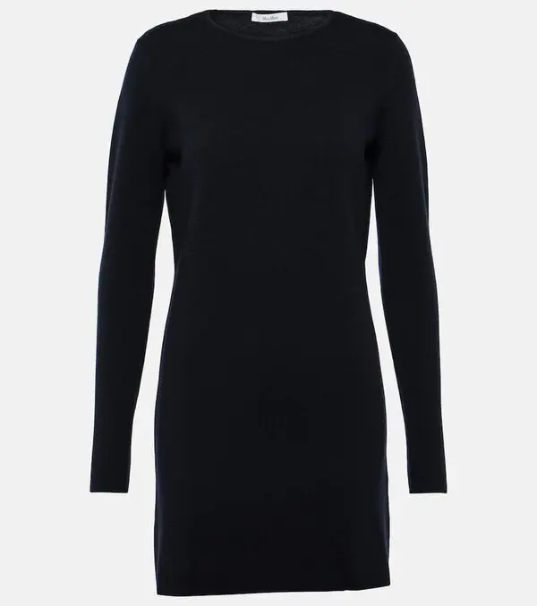 Max Mara Eridani Mini Dress