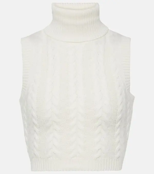 Max Mara Oscuro Wool And Cashmere Turtleneck Top