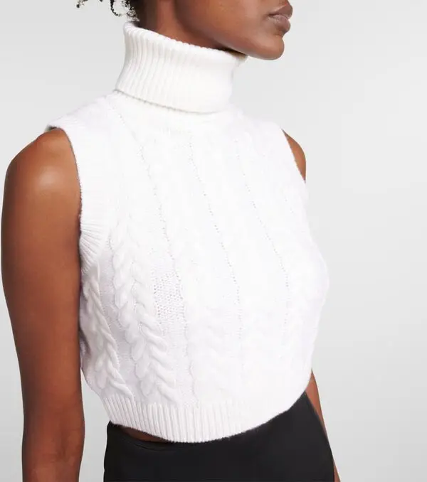 Max Mara Oscuro Wool And Cashmere Turtleneck Top