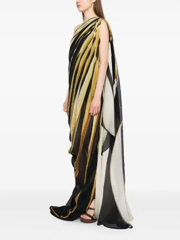 Roberto Cavalli Graphic-printed Maxi Dress