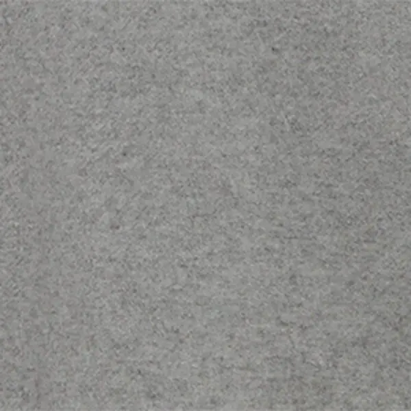 Loewe Polo Sweatshirt